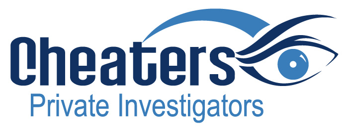 Private Investigator Logo Design - Digital Lion