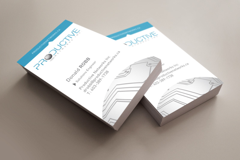Branding Design for Calgary IT Company - Digital Lion