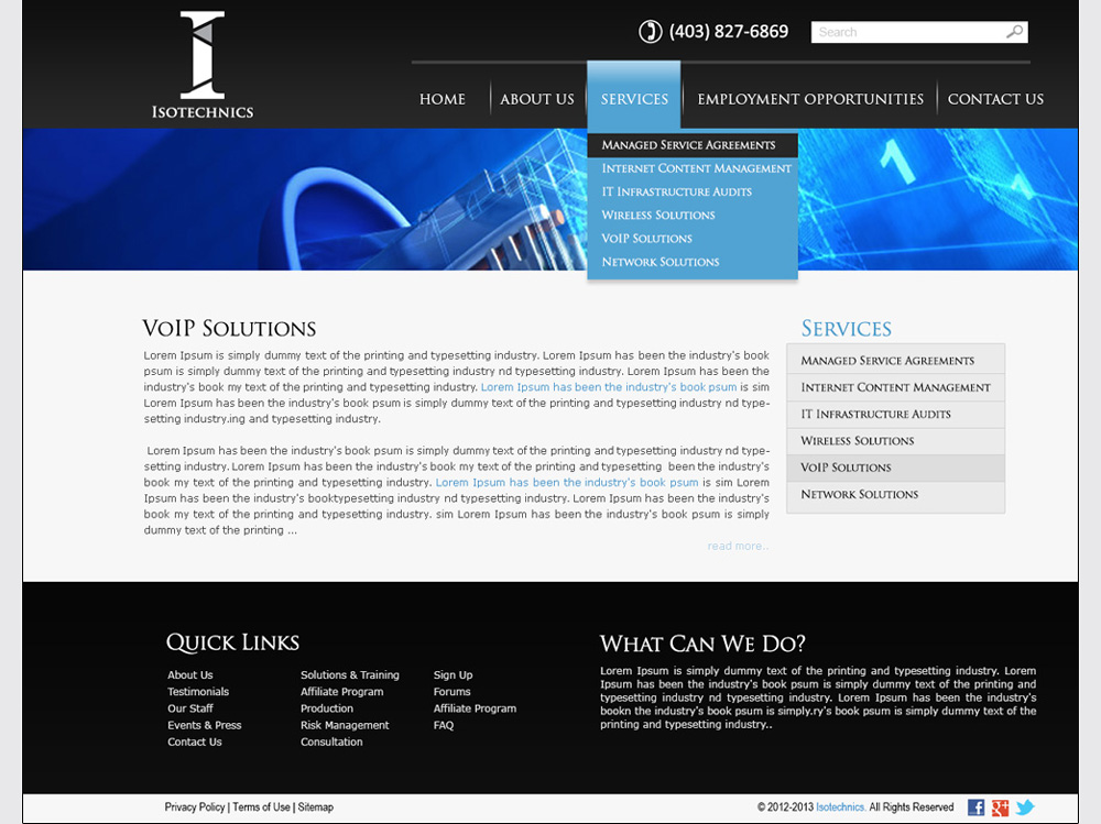 Tech Company Website Development - Digital Lion