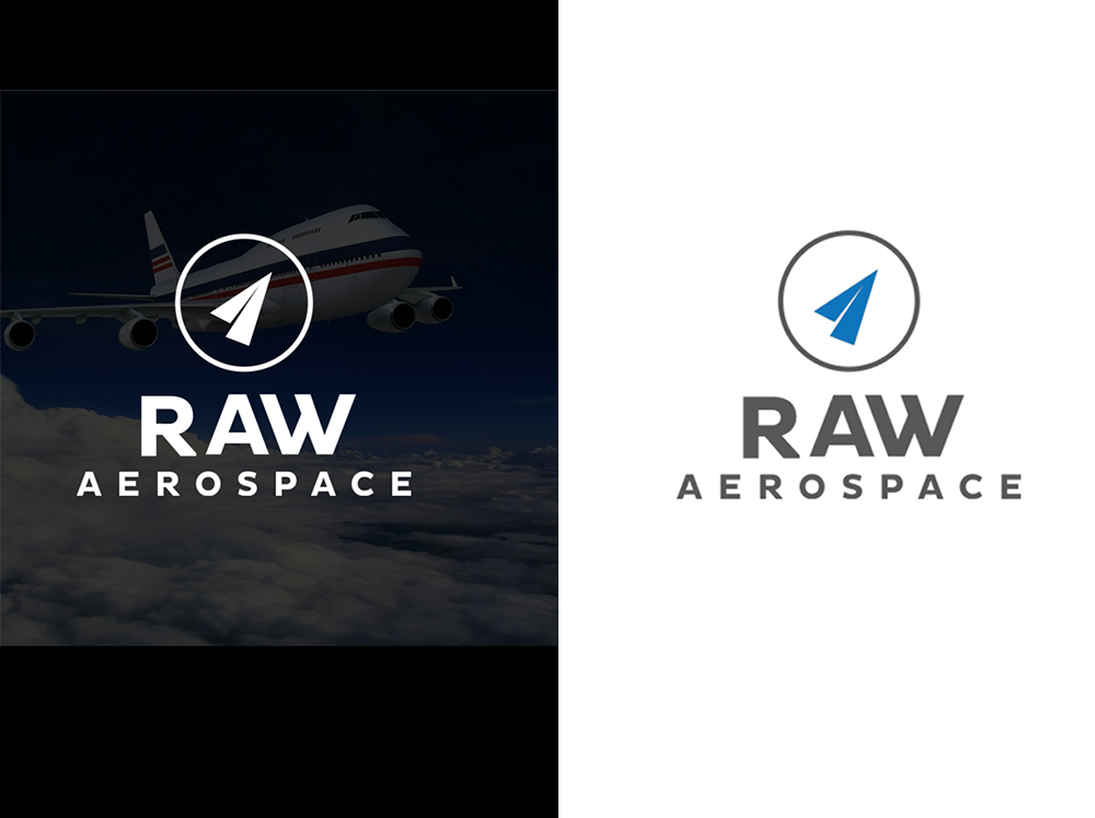 Custom Logo Design for Calgary Company - Digital Lion
