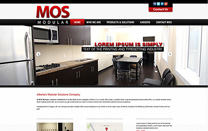 Custom Website Design for a Modular Solutions Company - Digital Lion