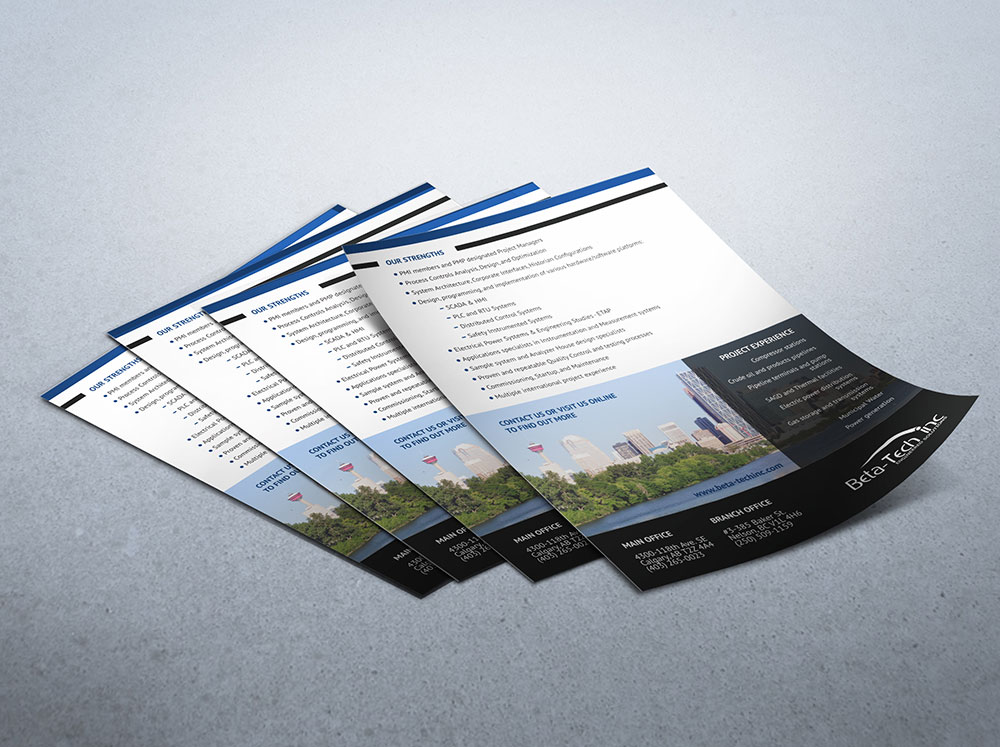 Folder Insert Design for an Engineered Solutions Company - Digital Lion