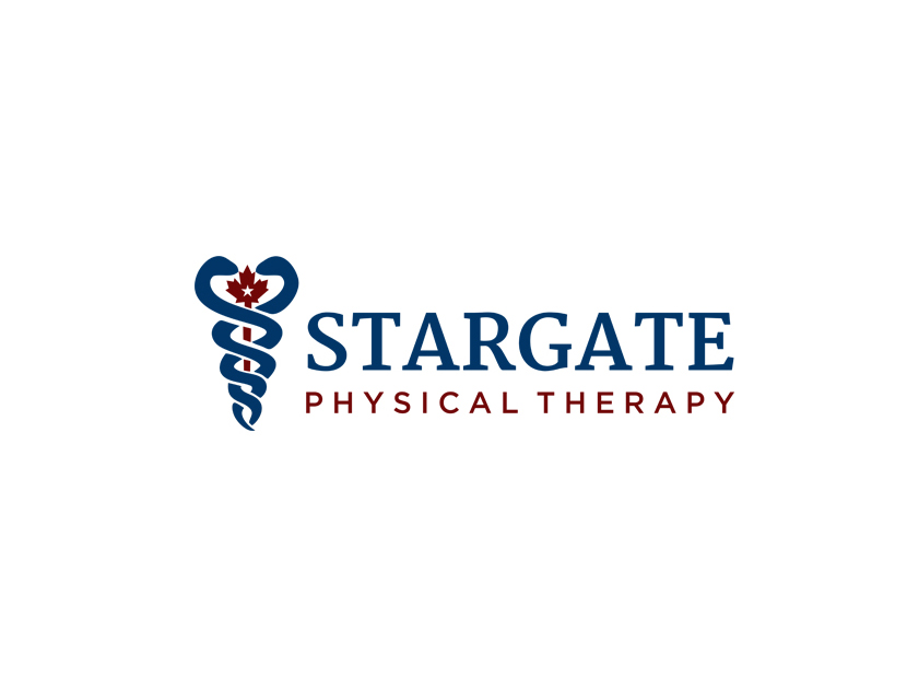 Logo Design for a Physical Therapy Company - Digital Lion