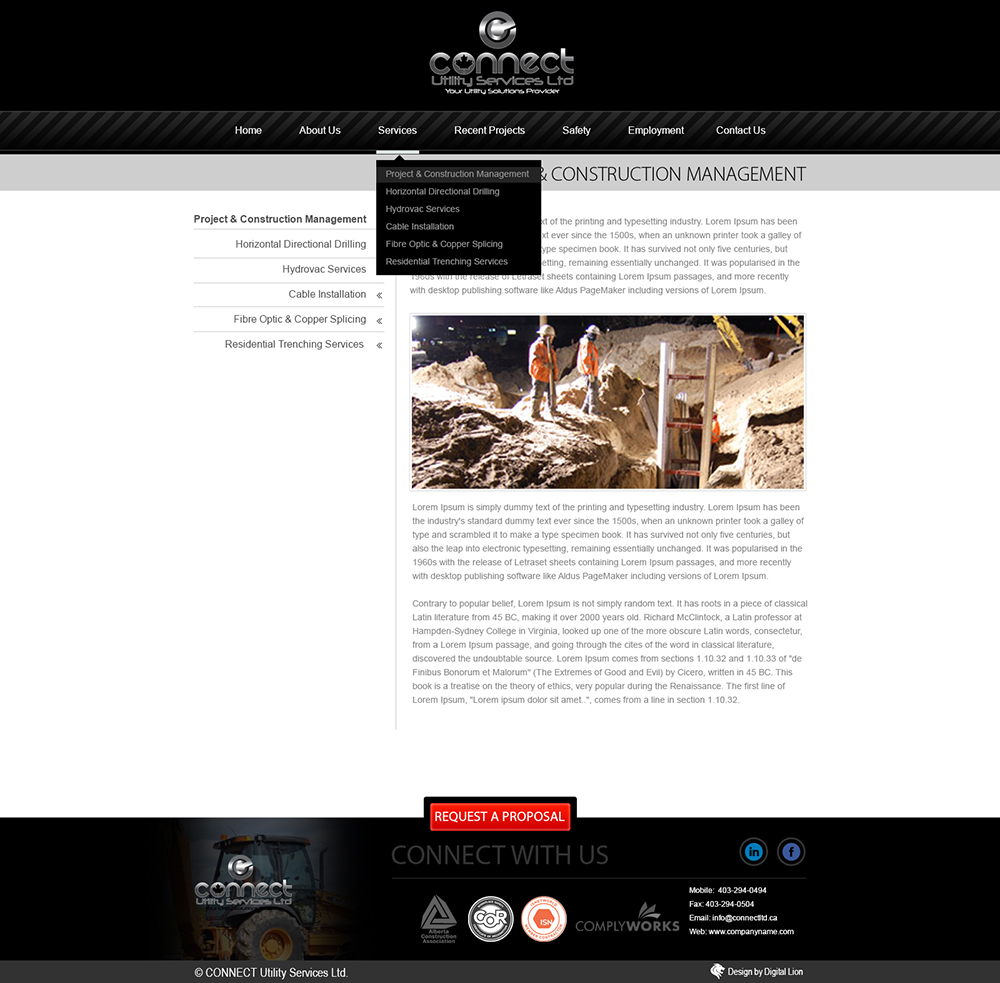 Custom Website Design for a Utility Services Company - Digital Lion