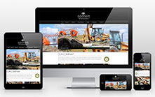 Web Design - Digital Lion