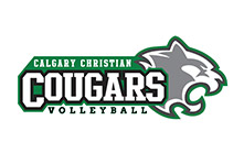 Logo Design for School's Sports Team - Digital Lion