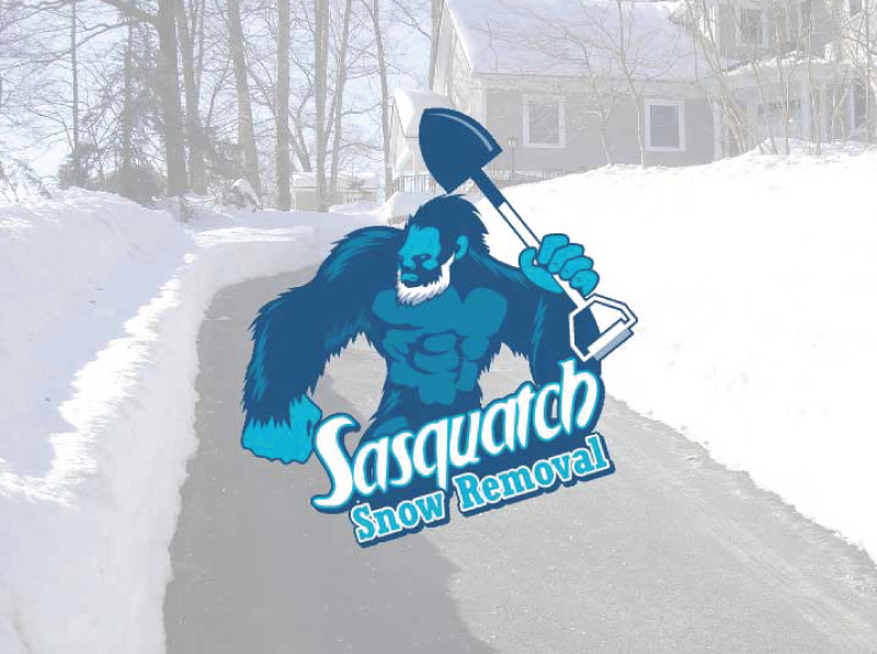 Snow Removal Logo Design - Digital Lion