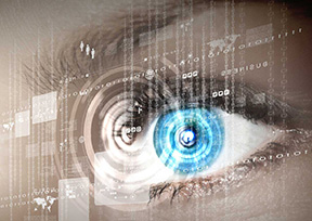 Using Eye-Tracking Results to Design with Purpose | Digital Lion