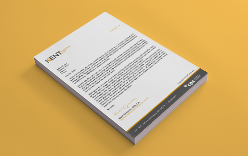 Logo Design and Branding - Digital Lion