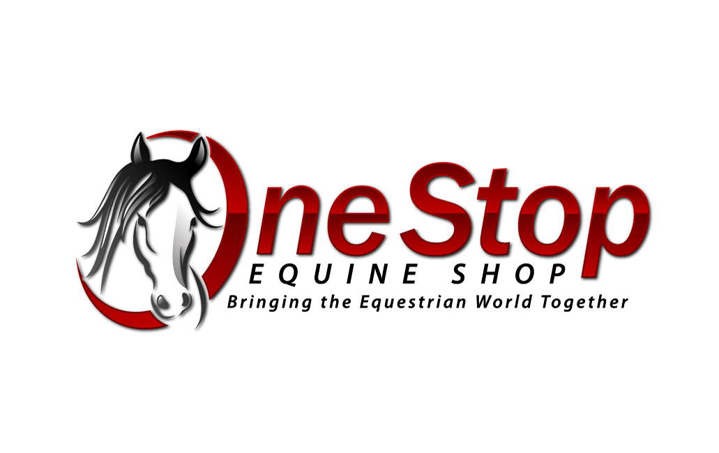 Professional Logo Design & Branding Company in Calgary - Digital Lion